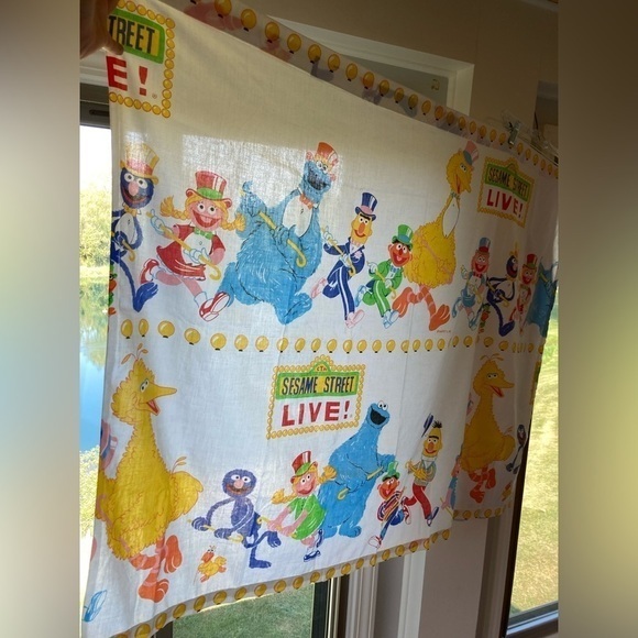 Sesame Street | Accents | 3 Sesame Street Curtain Panels Big Bird ...